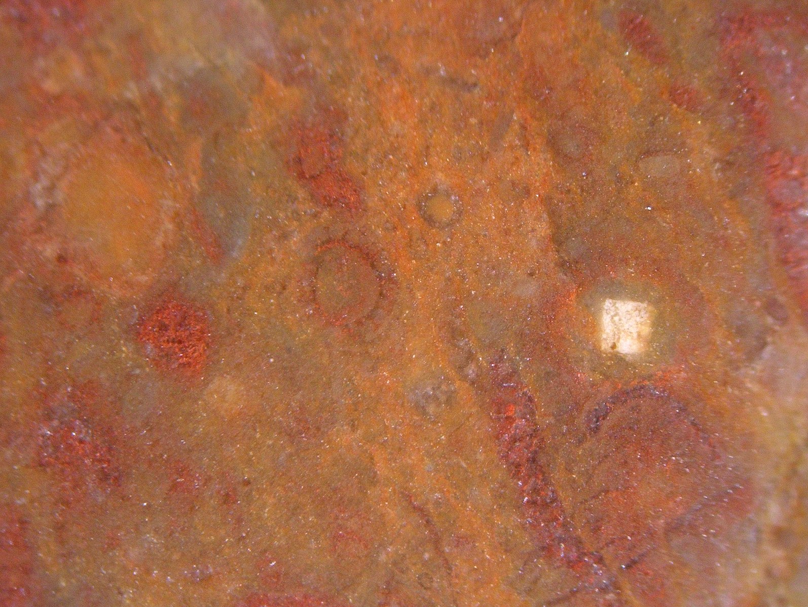 1594px-Silica_pseudomorph_after_halite_crystals_and_silicified_remains ...