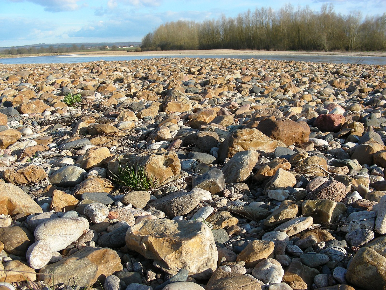 1600px-Silica_pseudomorph_after_halite_crystals_and_silicified_remains ...