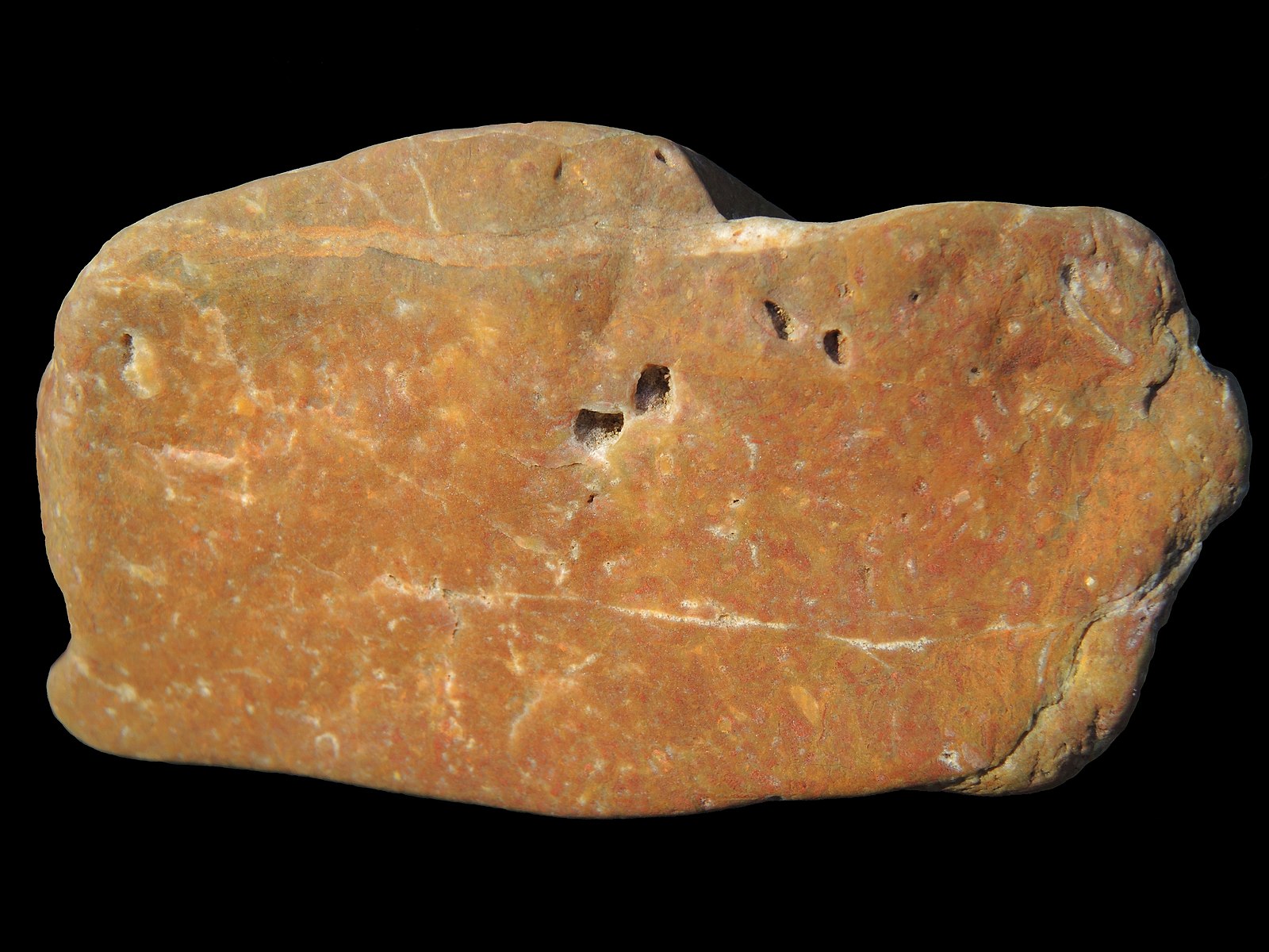 1600px-Silica_pseudomorph_after_halite_crystals_and_silicified_remains ...