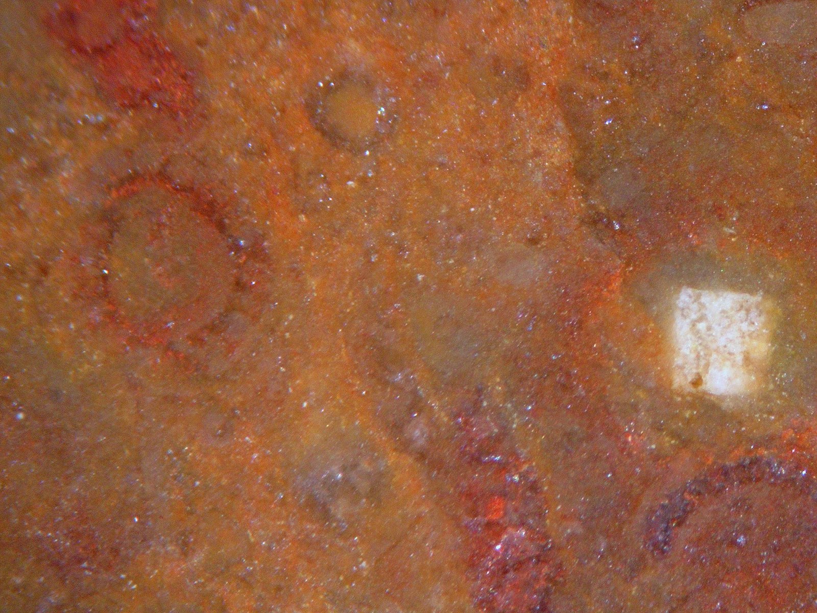 1600px-Silica_pseudomorph_after_halite_crystals_and_silicified_remains ...